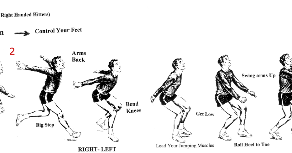 All about the Spike: EVERYTHING before... The Spike.
