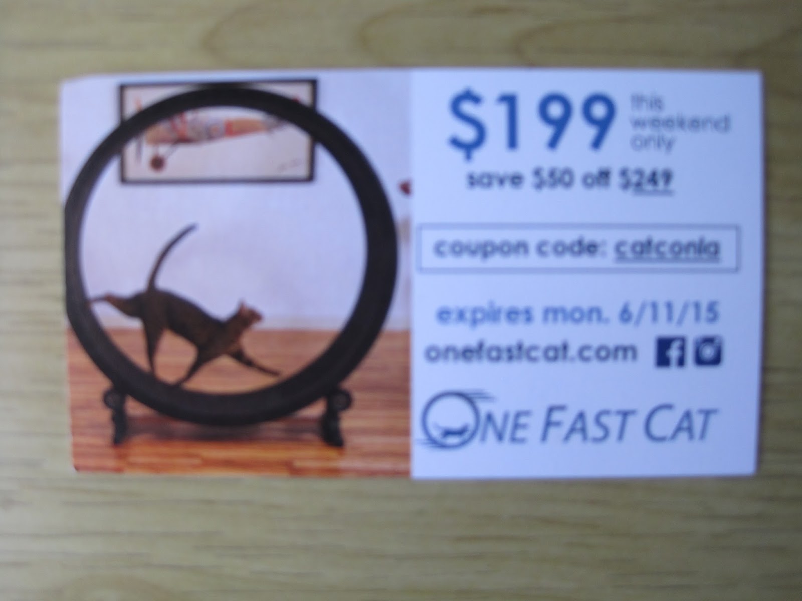 Behind the Scenes at Stuart Ng Books: Cat Con LA 2015, June 6 and 7 ...