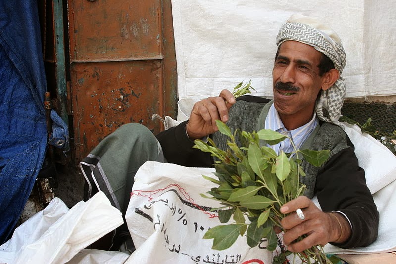 KENSOM (KENYA SOMALI CONSORTIUM): KHAT - MIRAA BAN BILL TO BE TABLED ...