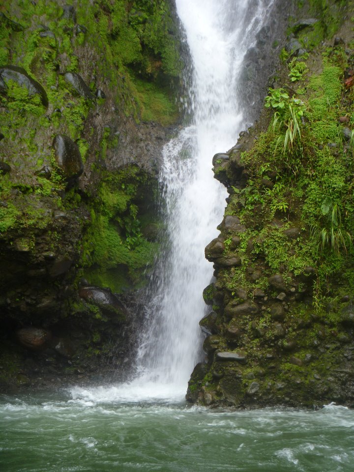 Culturama: REMONTANDO LOS CAUCES DEL GARICHE...