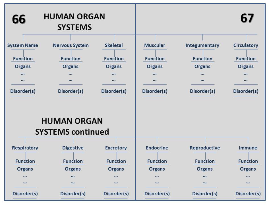 Welcome to Mr.Chapman's Biology Class Blog - Come on in, the learning ...