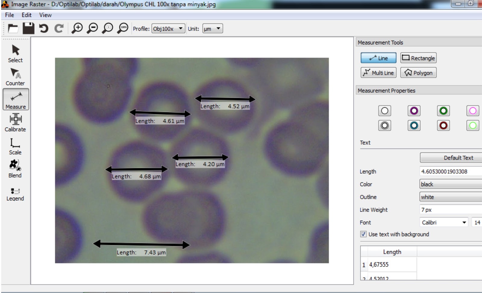 Bagaimana Cara Pengukuran Objek Mikroskopis Menggunakan Image Raster