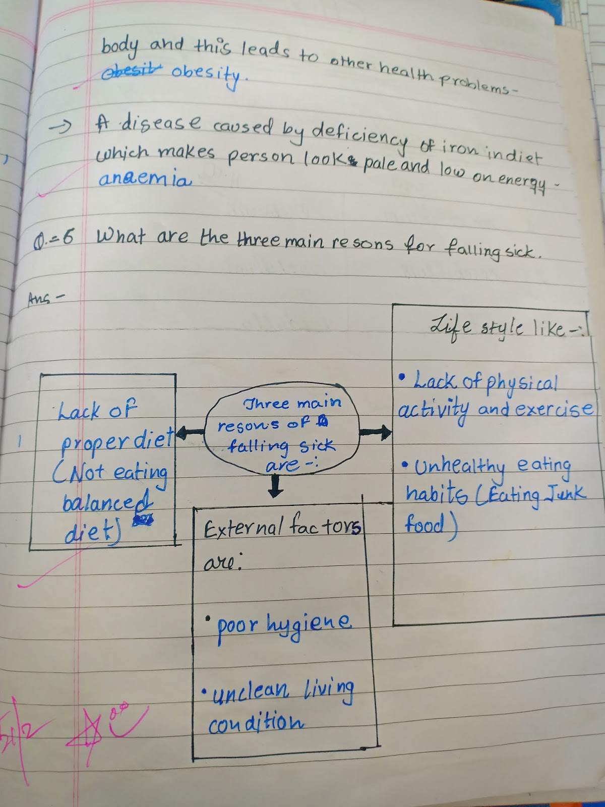 Evs-Health and diseases(notebook and workbook)