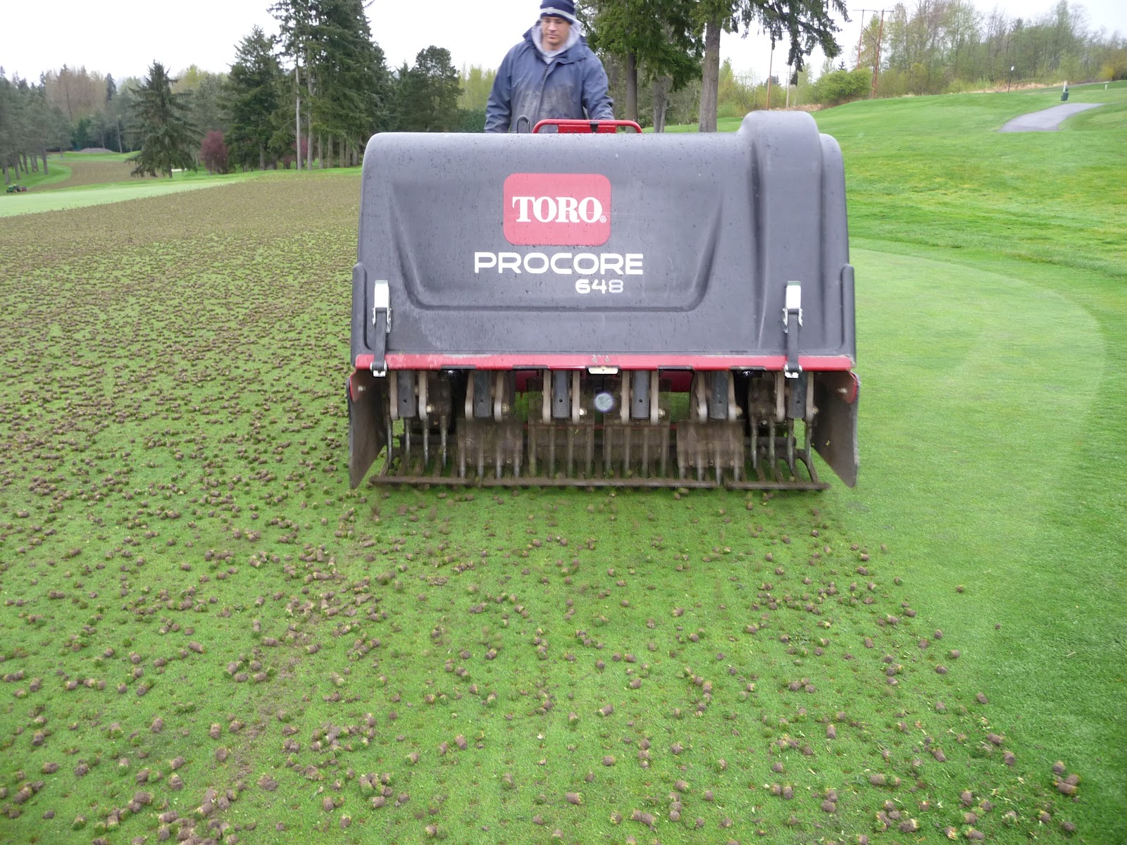 Glendale Country Club: Greens aeration process
