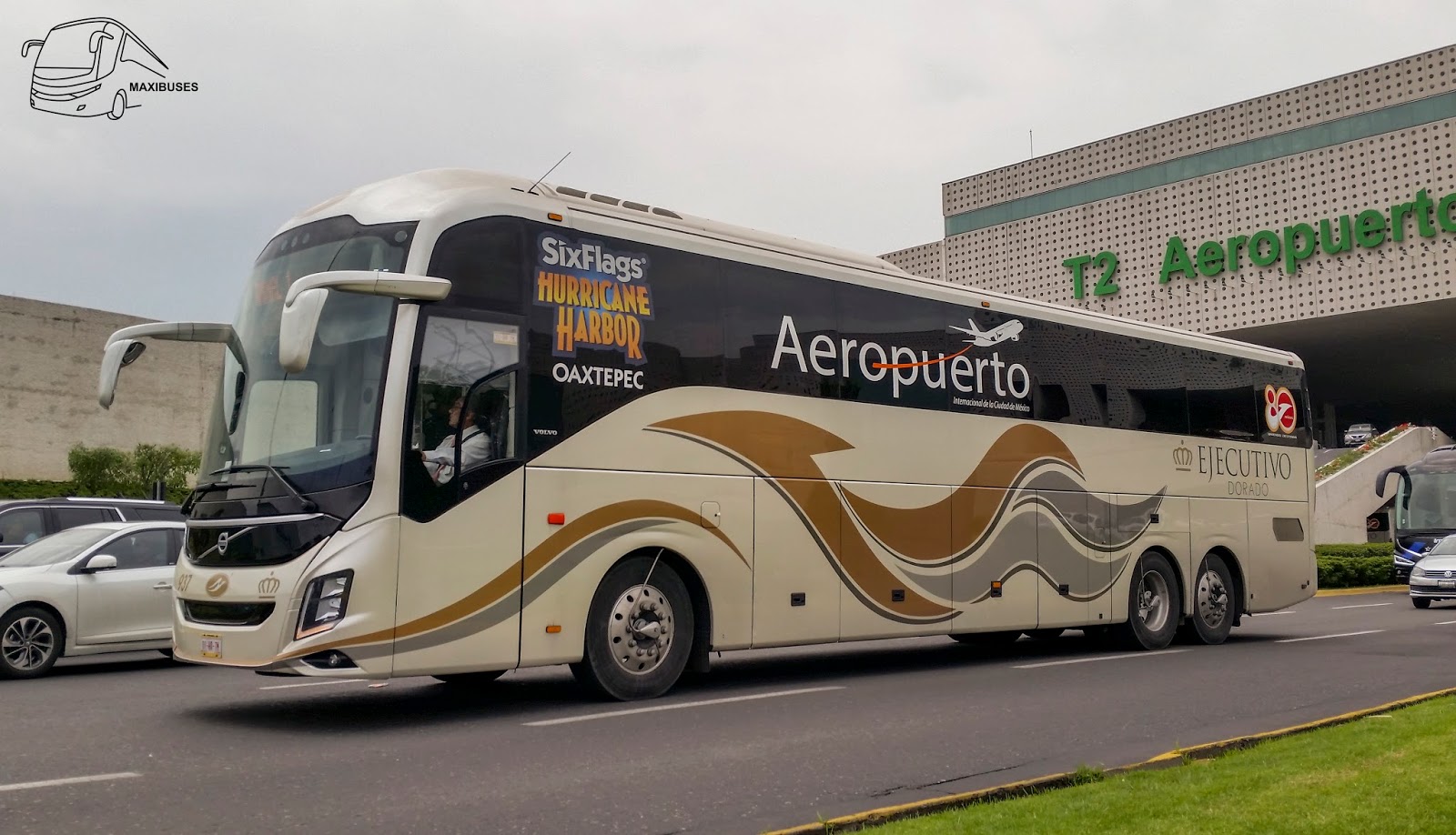 MAXIBUSES: PULLMAN DE MORELOS EJECUTIVO DORADO