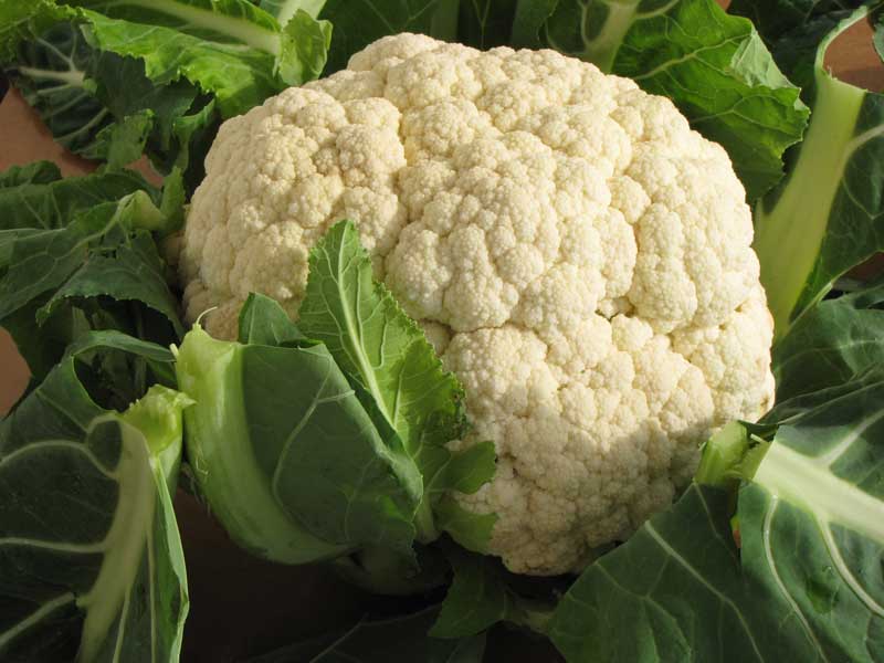 PlantaMer: La Coliflor