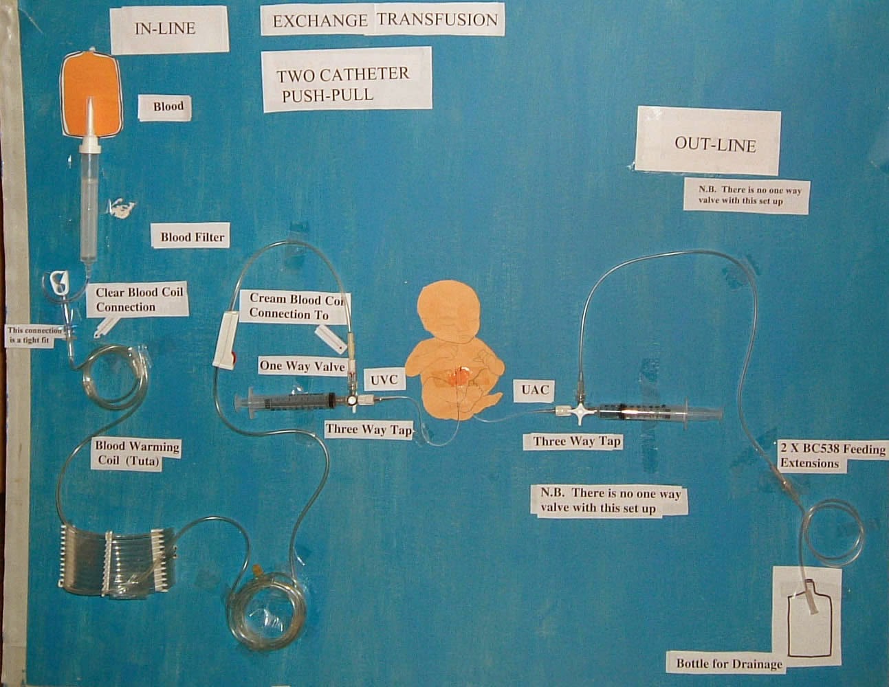 NursingHealth&Science: TRANSFUSI DARAH
