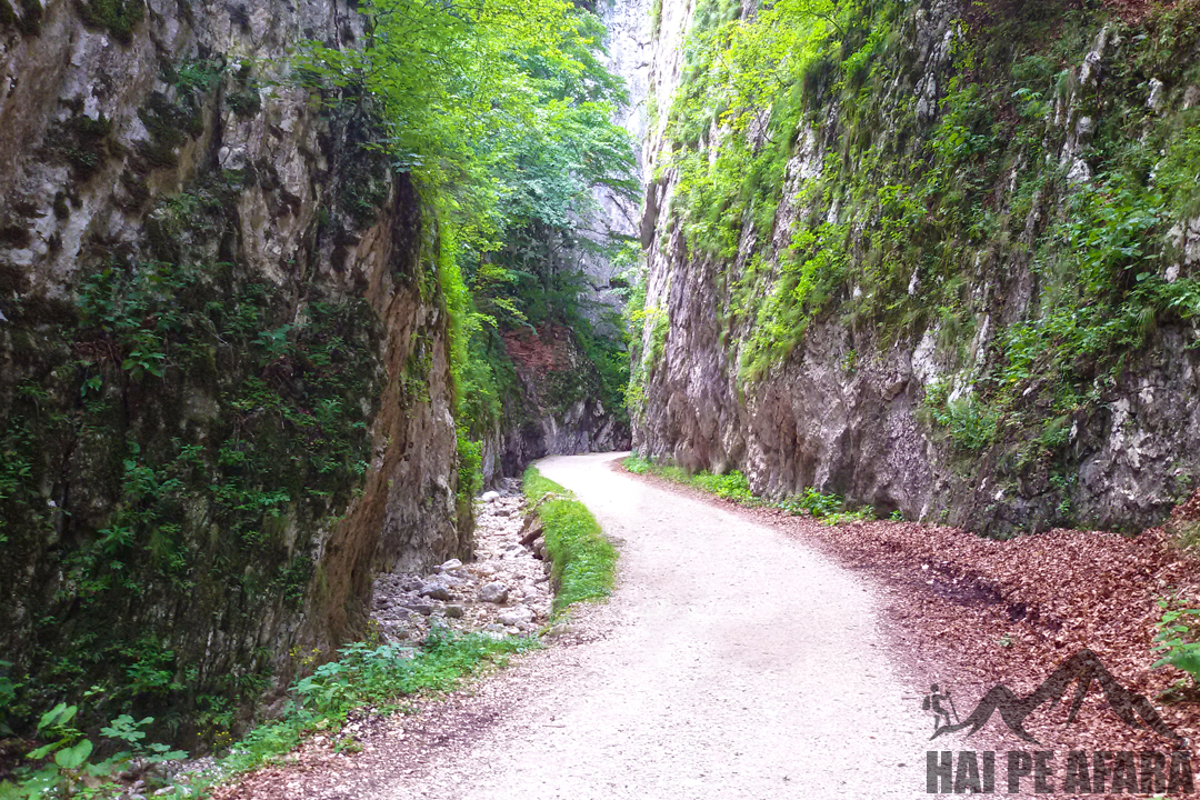 Satul Măgura - Prăpăstiile Zărneștilor - Cabana Curmătura [iulie 2016]