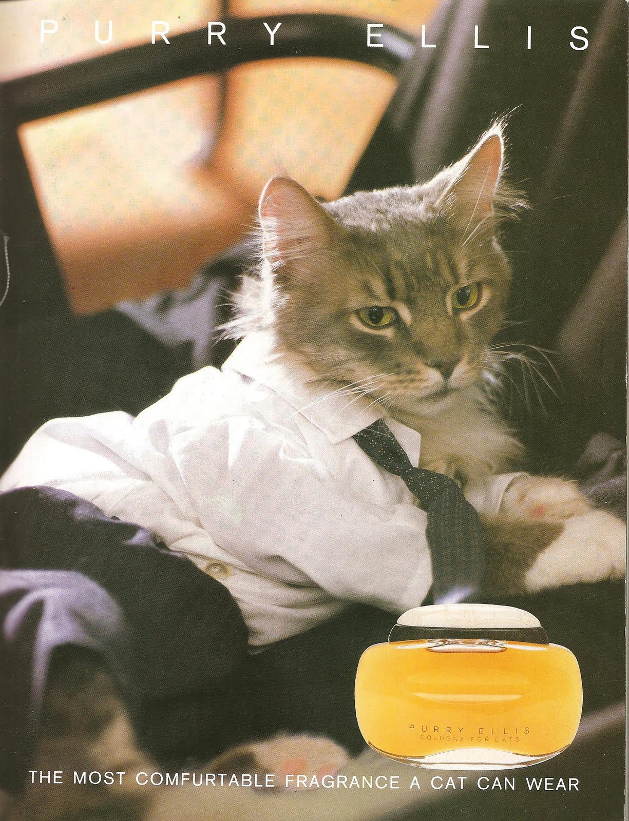 Catsparella: Cat-vertising From Vintage Vanity Fur Parody Magazine