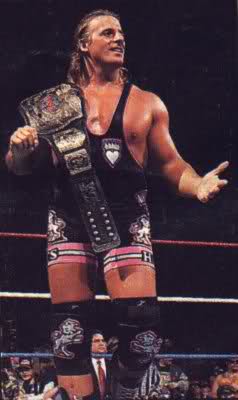 WORLD WRESTLING ENTERTAINMENT: American Professional Wrestler,Owen Hart