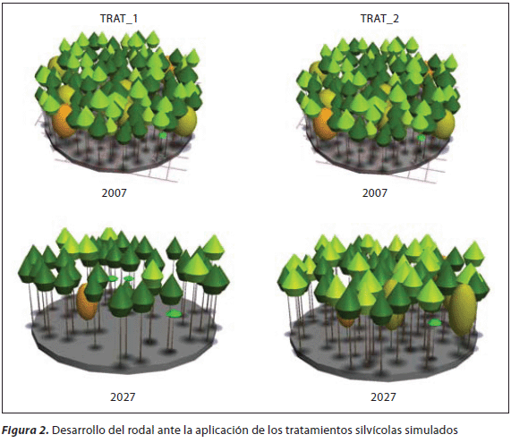 Magyerin (Agronomia): Fundamentos Forestales (Madiciones Forestales)
