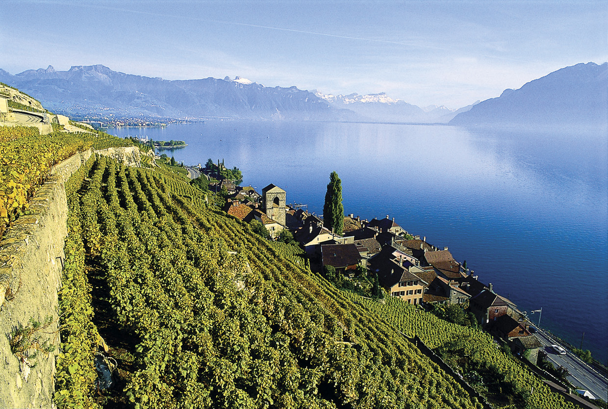 Traveler Guide: Scenic Switzerland