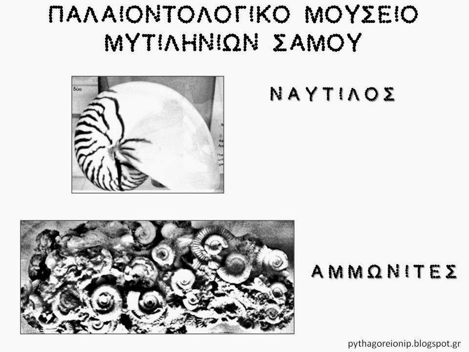 Πυθαγόρειο Νηπιαγωγείο: Νοεμβρίου 2014
