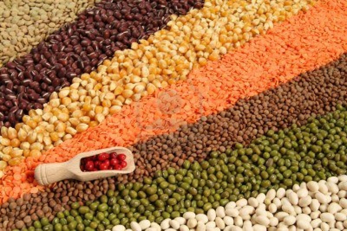 AGROPECUARIA: Subsector agrícola - Cultivo de granos y semillas oleaginosas