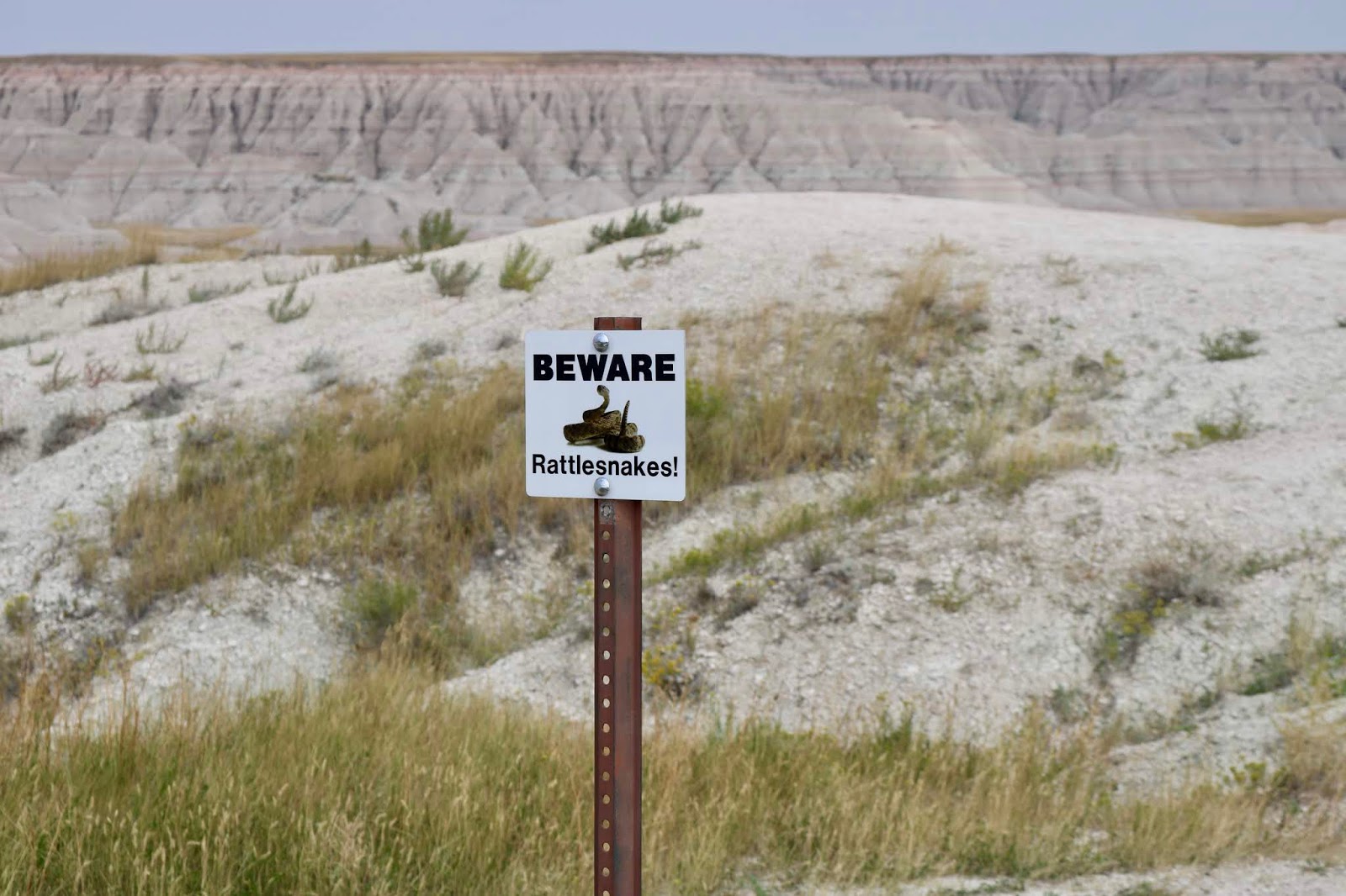 Amy's Creative Pursuits: Our Fall Vacation to South Dakota: Day 1: The ...