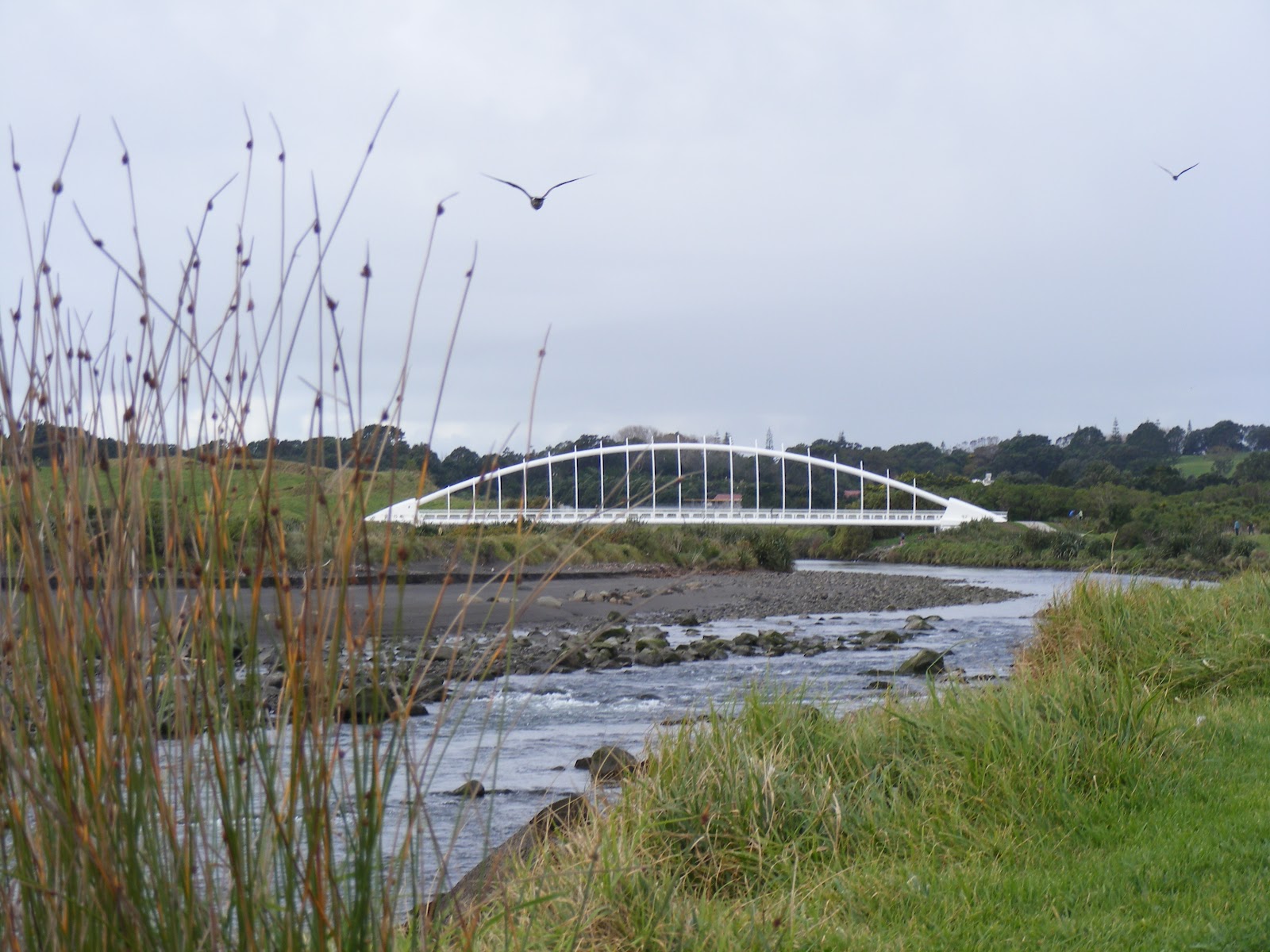 photographing New Zealand: te rewa rewa bridge