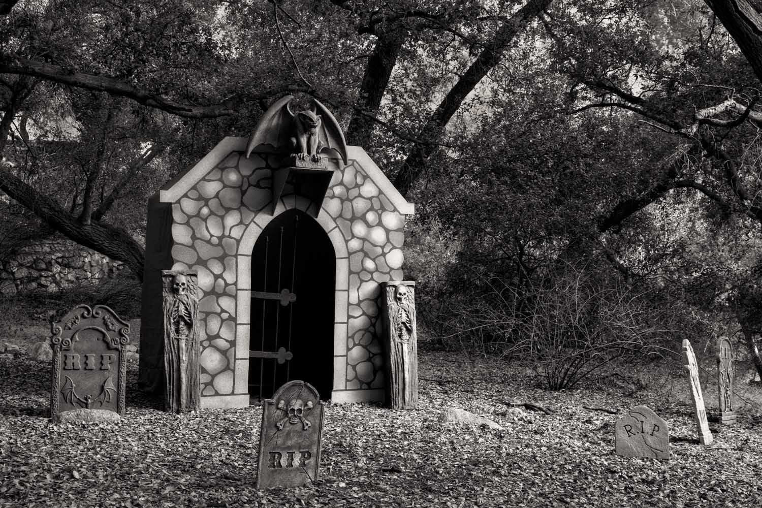Haunted Hike Cemetery Before Nightfall