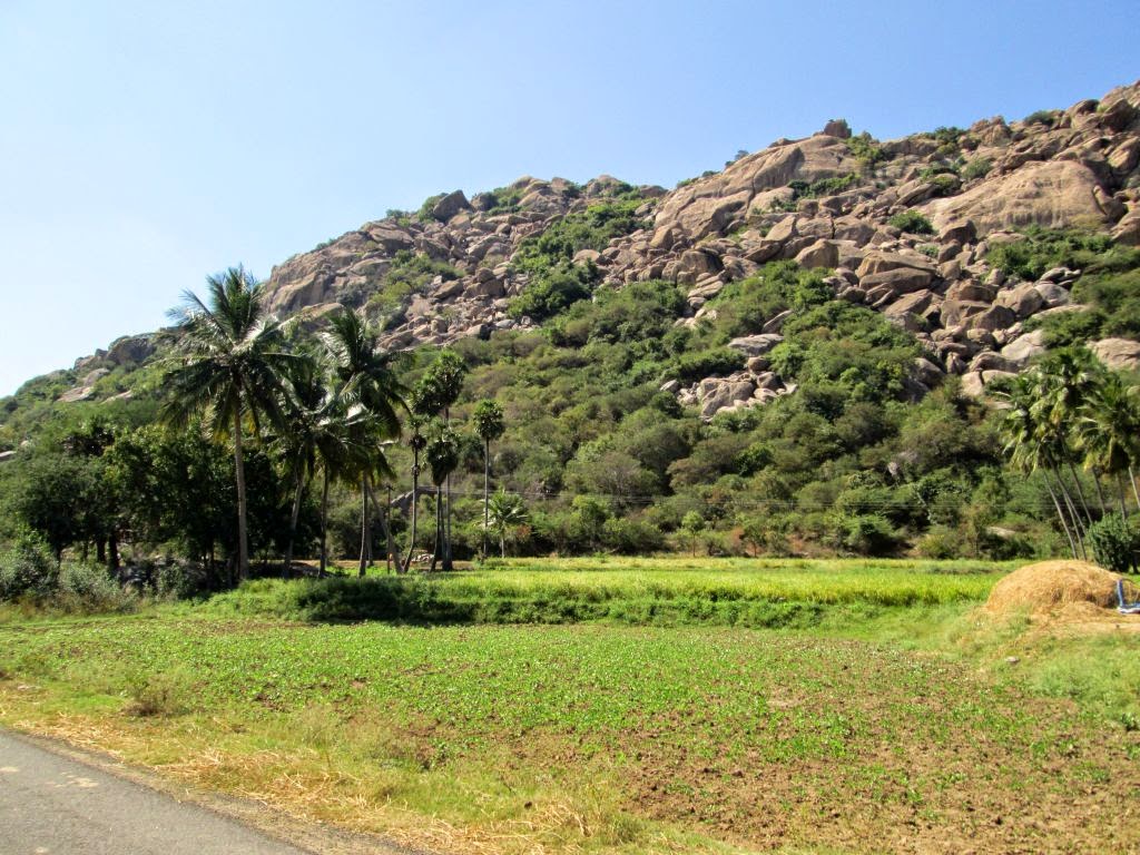 Visit to a village shrine - ARUNACHALA GRACE