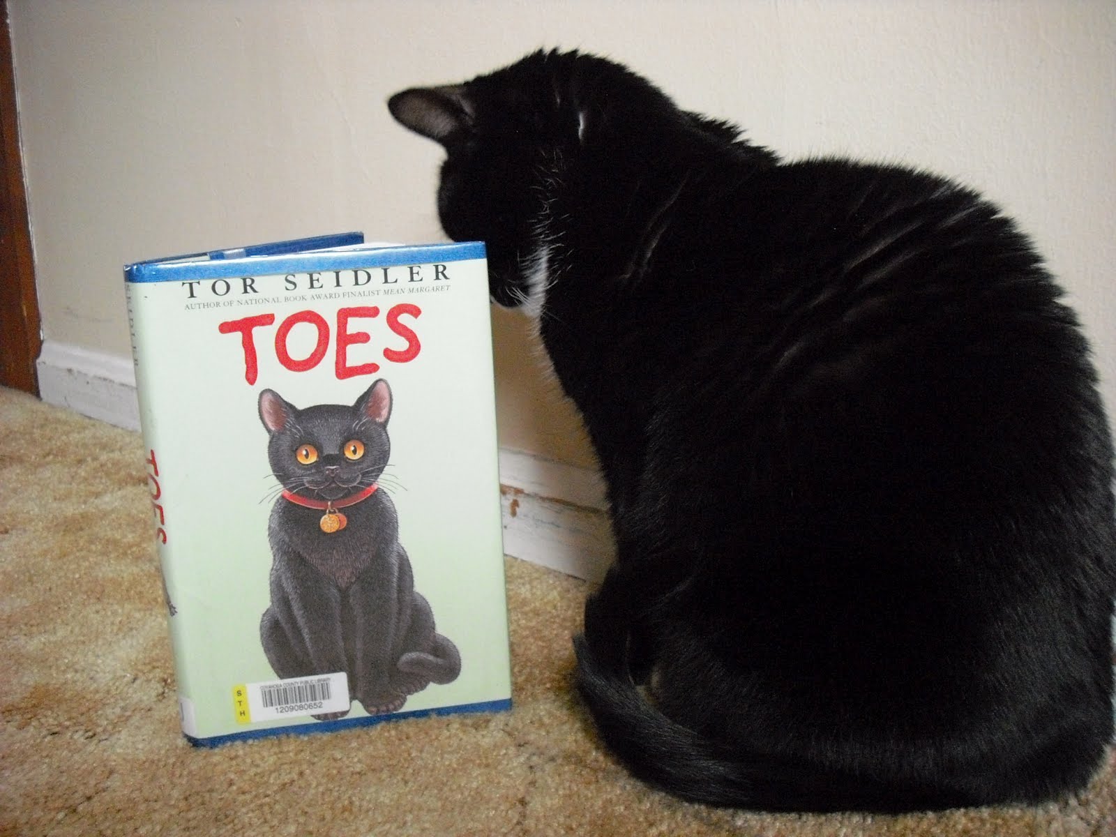 Grab A Book From Our Stack: "Toes" by Tor Seidler is Cat Story