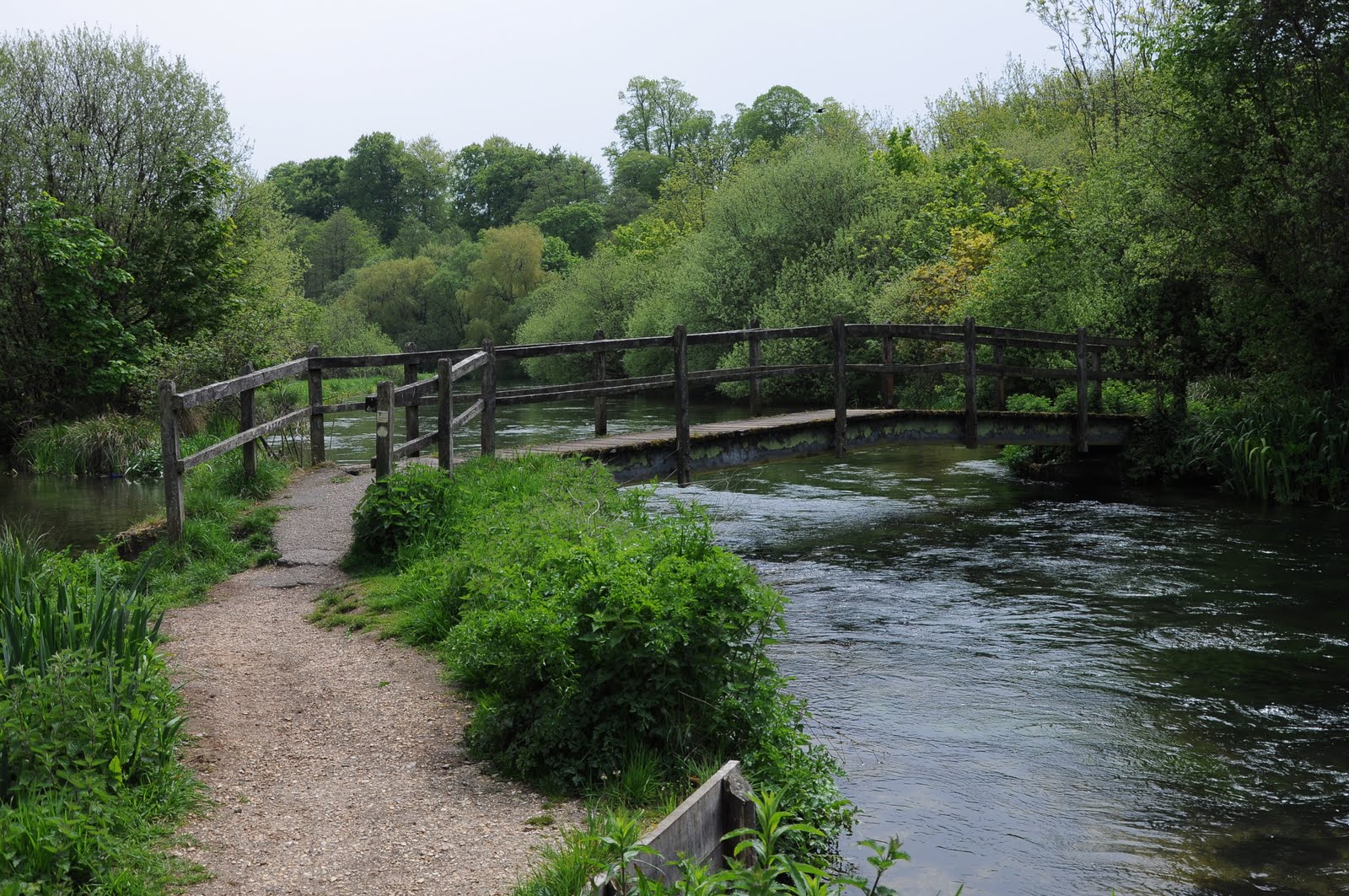 Cats, Dogs and Eiderdowns: Five Go To Itchen Abbas ...