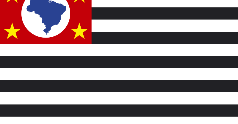 Bandeira vetorizada do Estado de São Paulo | O mundo dos vetores