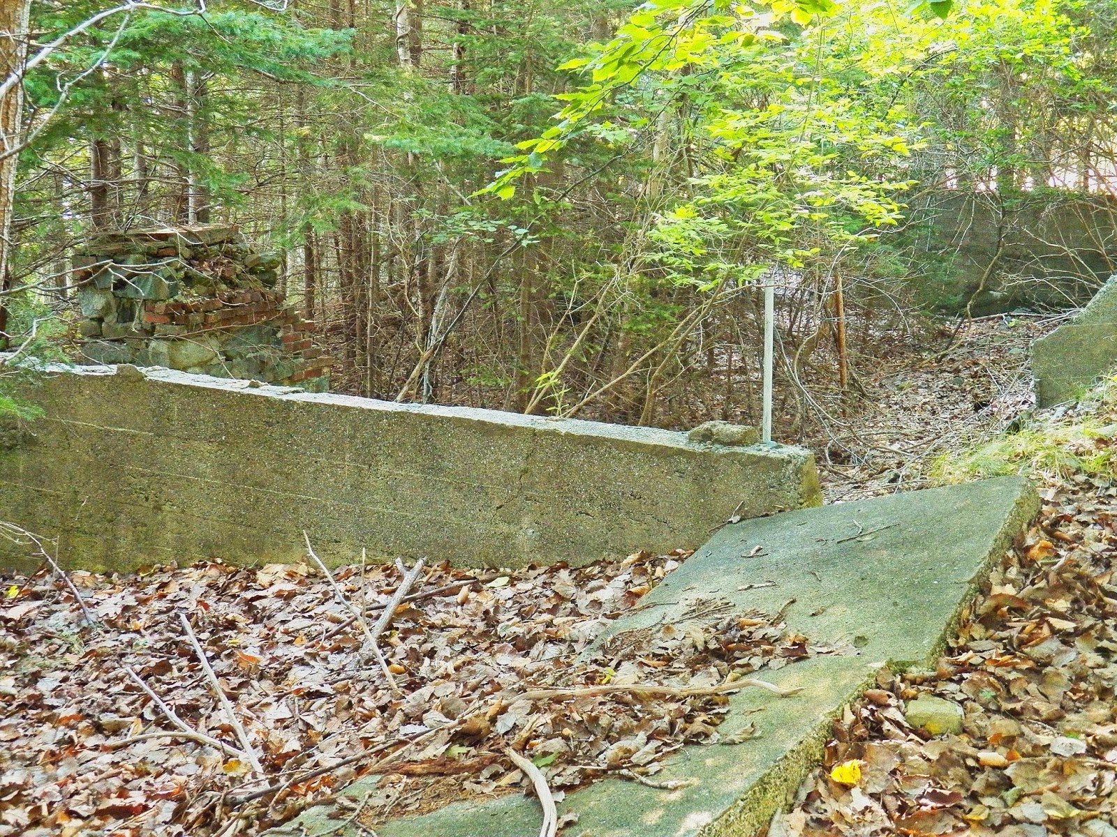ABANDONED TRAILS OF ACADIA NATIONAL PARK: REMAINS OF JACK PERKINS ...