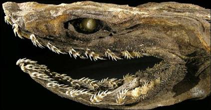 Partial Ellipsis of the Sun: A Blog for Scientists who like Words and ...