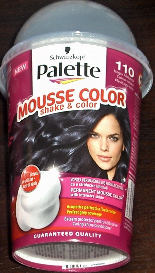 Coltul Cameliei: Review: Palette Mousse Color