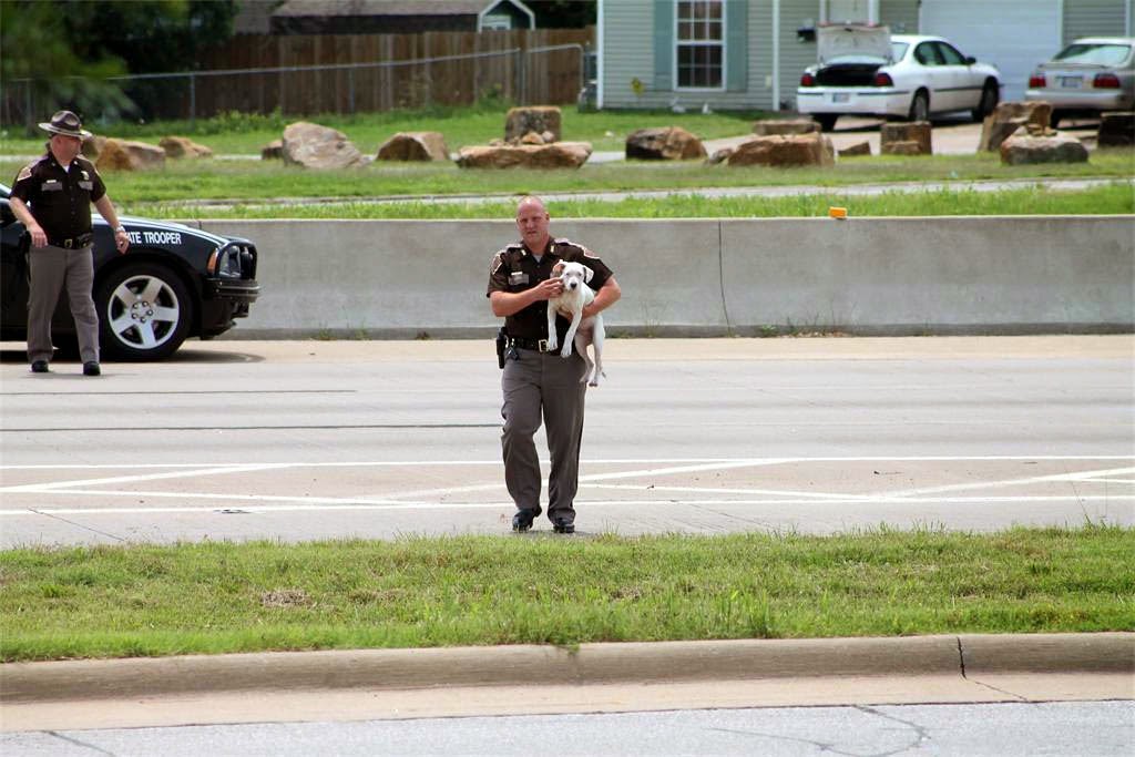 Four legged friends (and enemies): Oklahoma Highway Patrol rescues ...