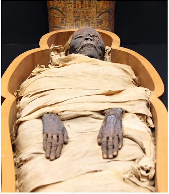 Knowledge Class: Unraveling the Mysteries of Mummies: From Ancient ...