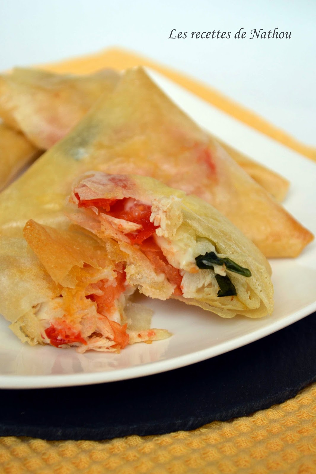 Ma cuisine au fil de mes idées...: Samoussas au poulet, tomate et ...