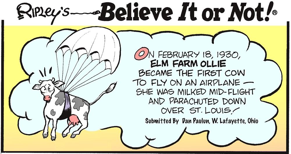 Dr. Caligari's Cabinet: What a way to go.