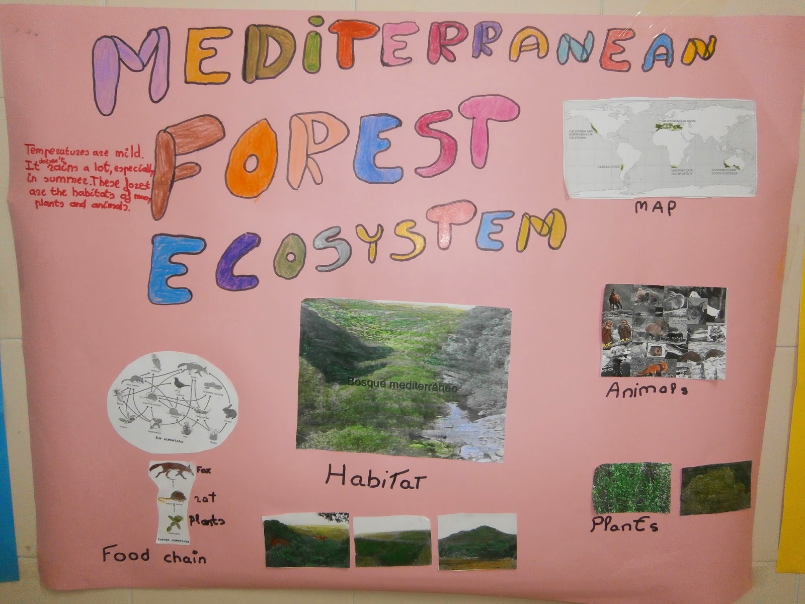 El Villar speaks English: ECOSYSTEMS: LET'S TAKE CARE OF THE WORLD!