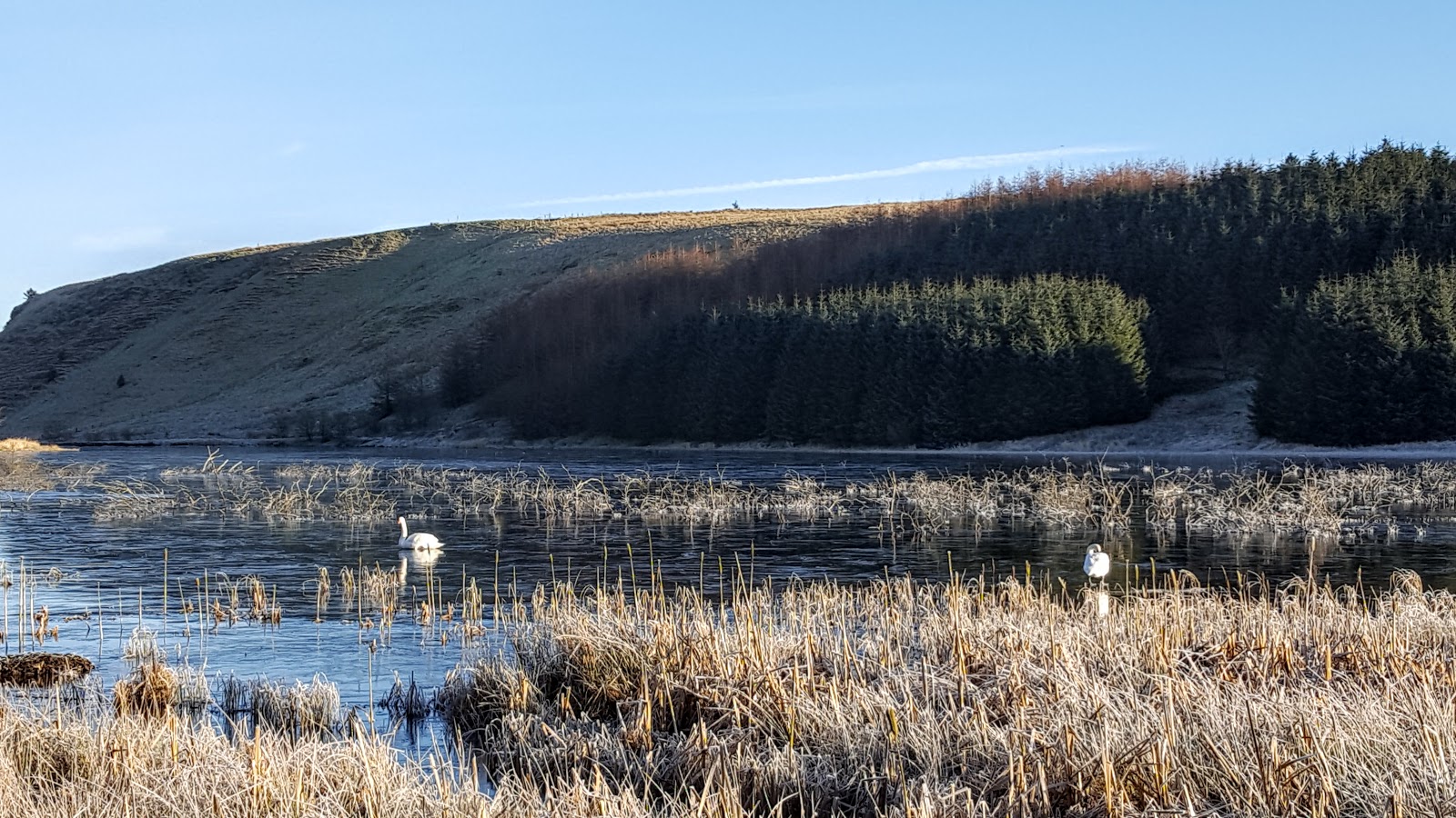 Neil's Hillwalking Exploits: A new year- Neilston Pad