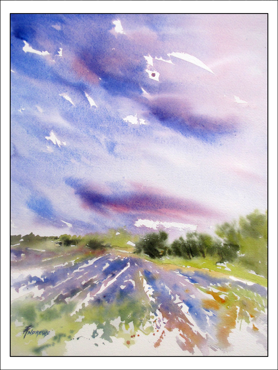 Rae Andrews : Lavender Field Spendor 1...Watercolor...Texas Artist ...