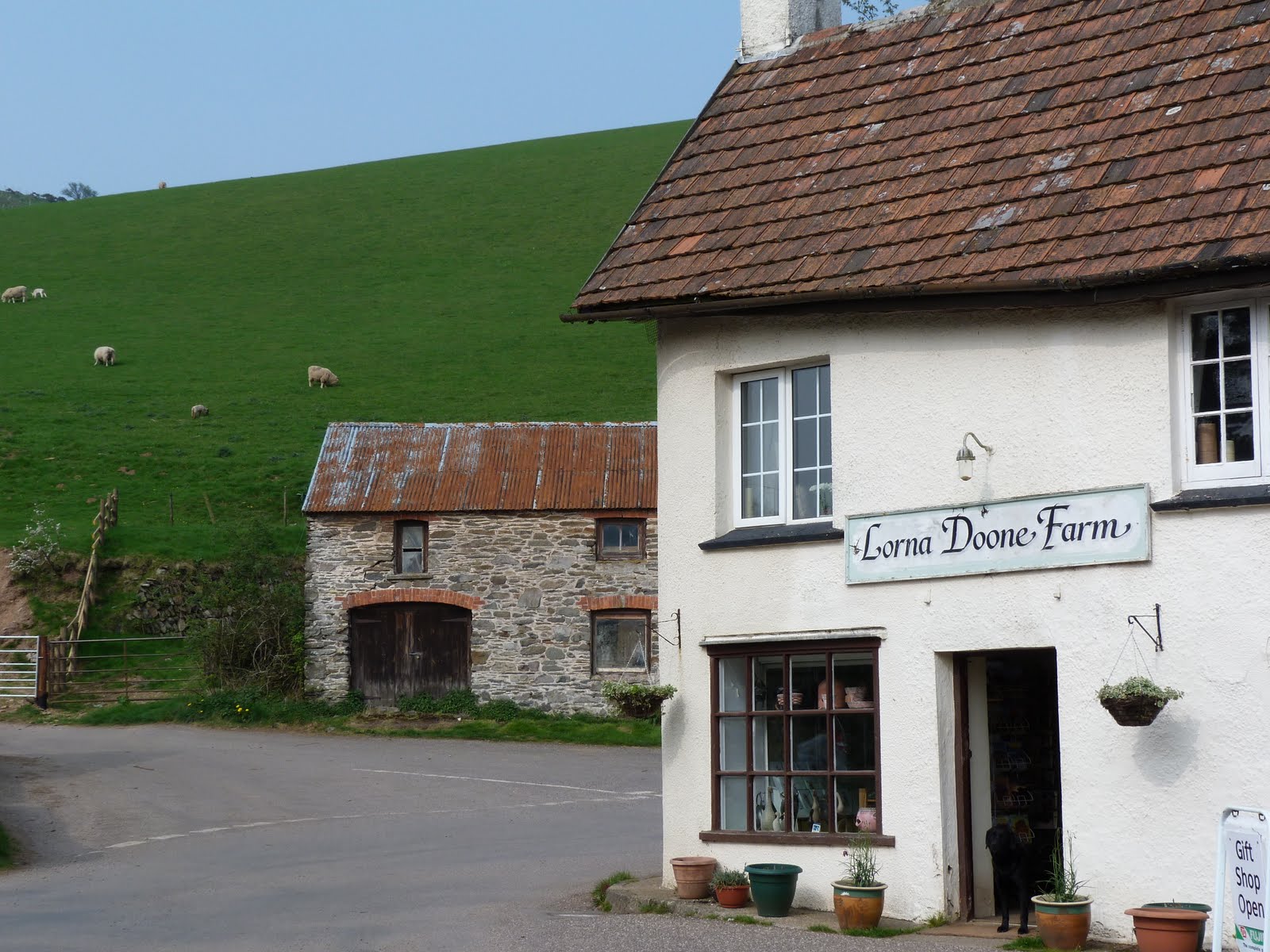 Dens Crafty Diary: Afternoon Tea - Somerset style!