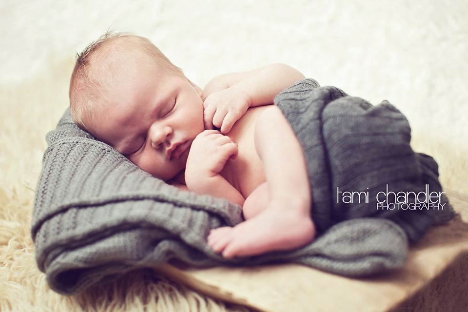 Tami Chandler Photography