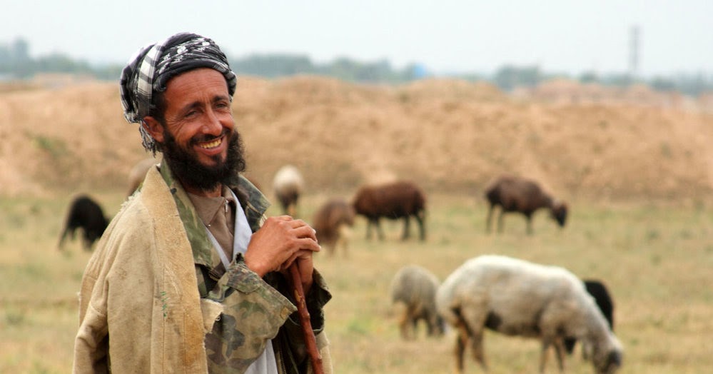 The amazing profundity of being sheep |Abarim Publications' Blog