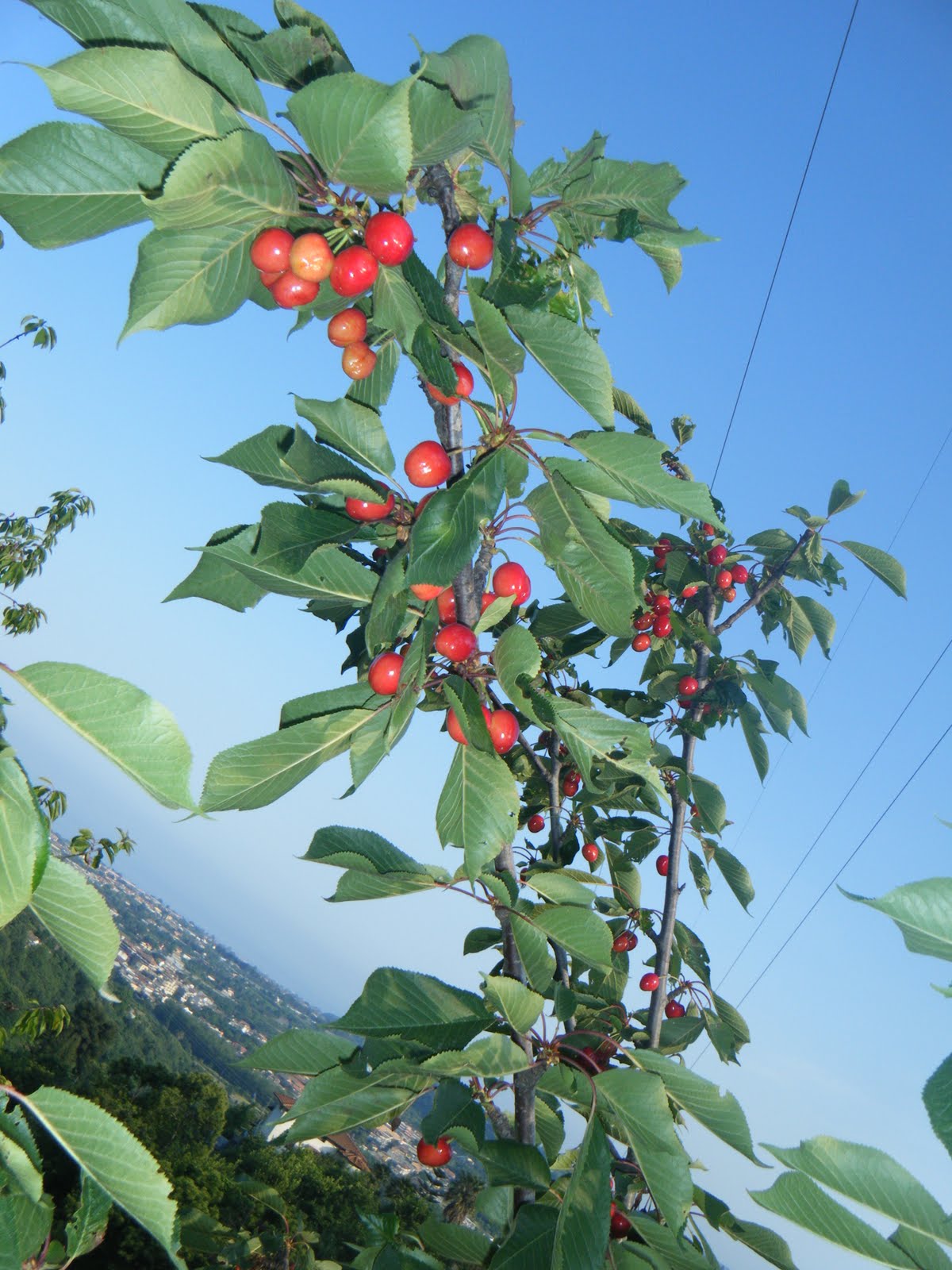 acquadifuoco: FRA UN POST E L'ALTRO.