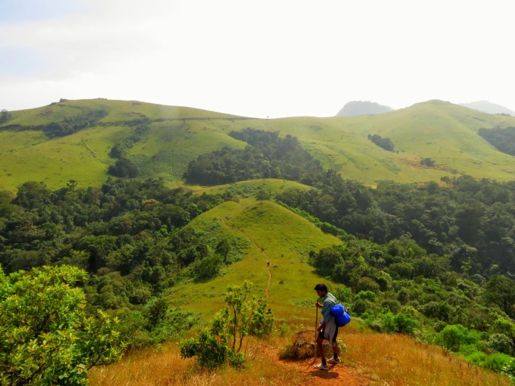 Manoj Saldana: Kodachadri, Hosanagara