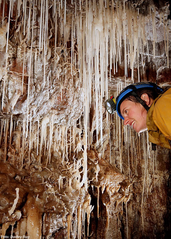 espeleobloc: Dudley Bug, espeleofotògraf (2)