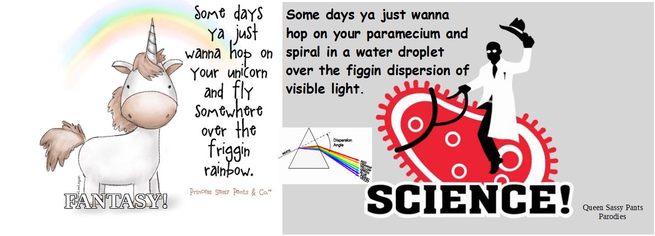 Practice Makes Creative - Parody Analysis and Writing Prompts