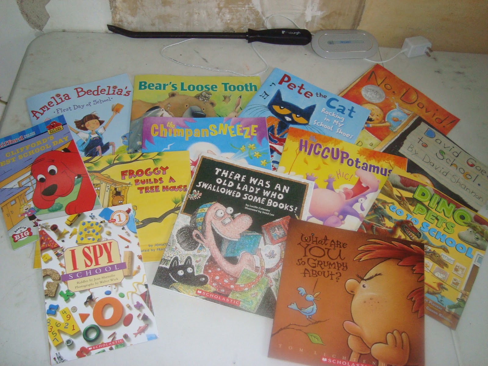 Homeschooling with George: My First Scholastic Book Order!