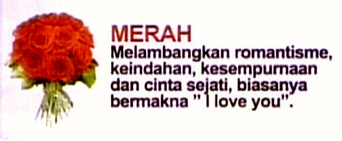 10 Kata Kata Ikspi Bunga Mawar