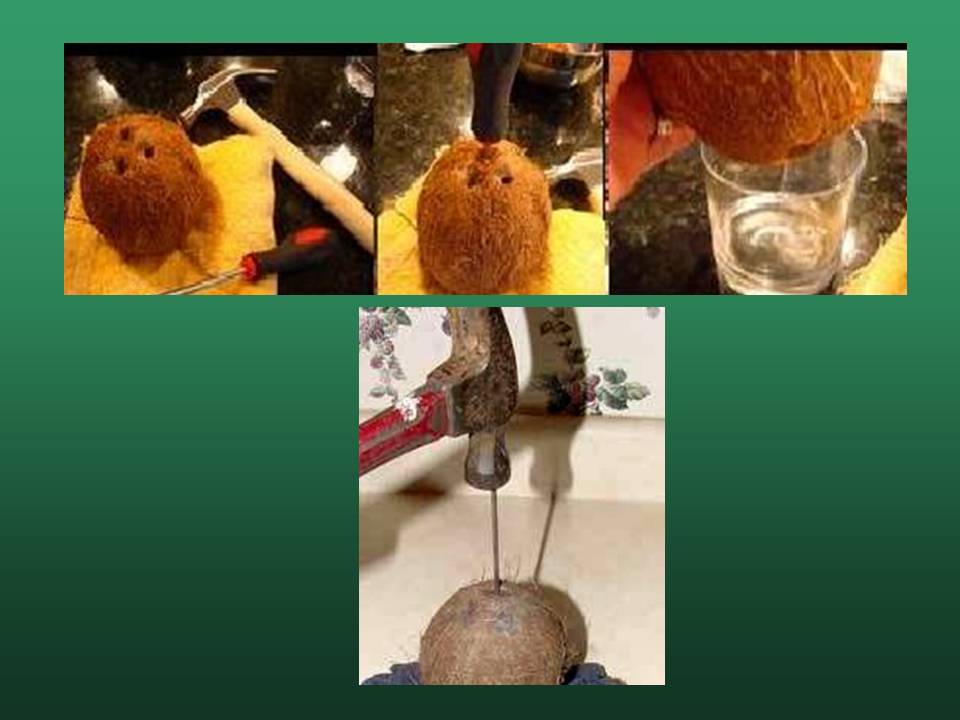 COMO ABRIR UN COCO ~ VIDA SANA, TRUCOS Y CONSEJOS