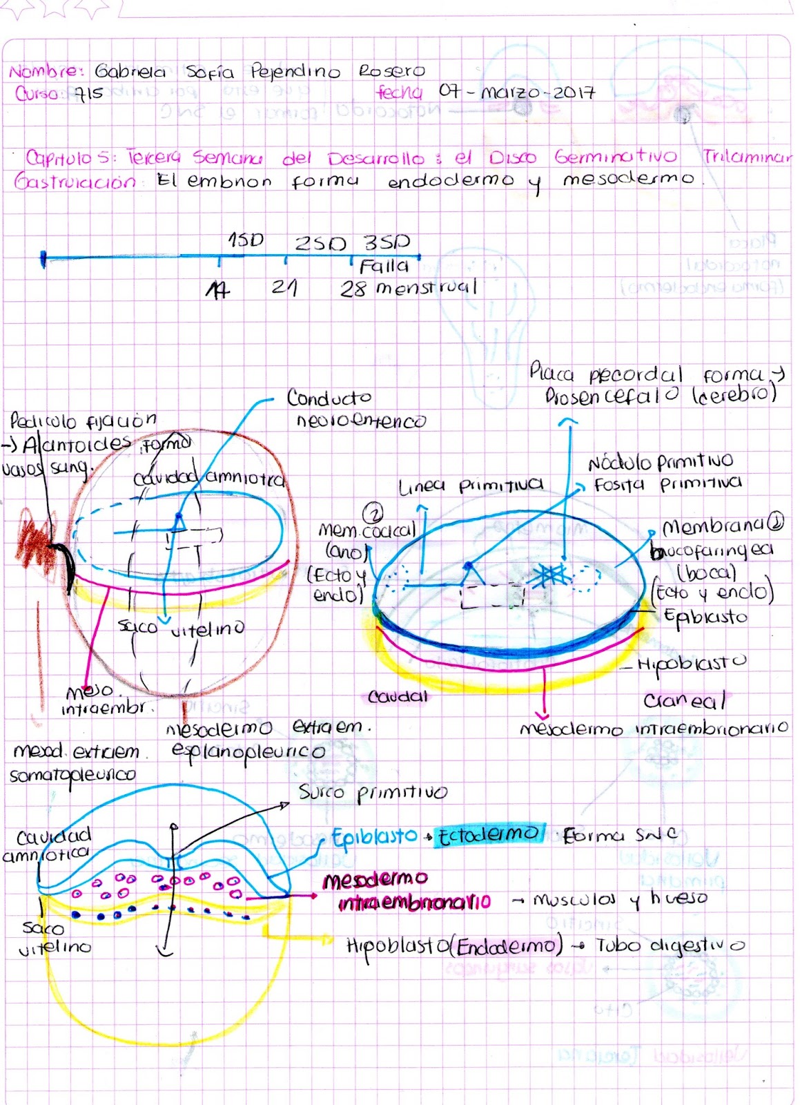 Embriología UCC: marzo 2017