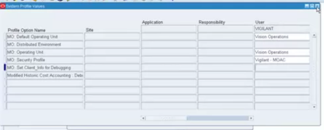 Tax And Oracle Apps Multi Org Access Control Setups tax-and-oracle-apps-multi-org-access-control-setups