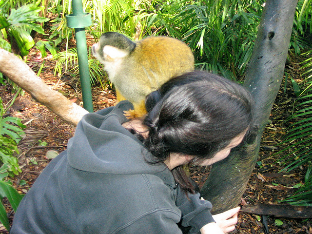 ANIMALS BEHAVING BADLY: Keep your distance