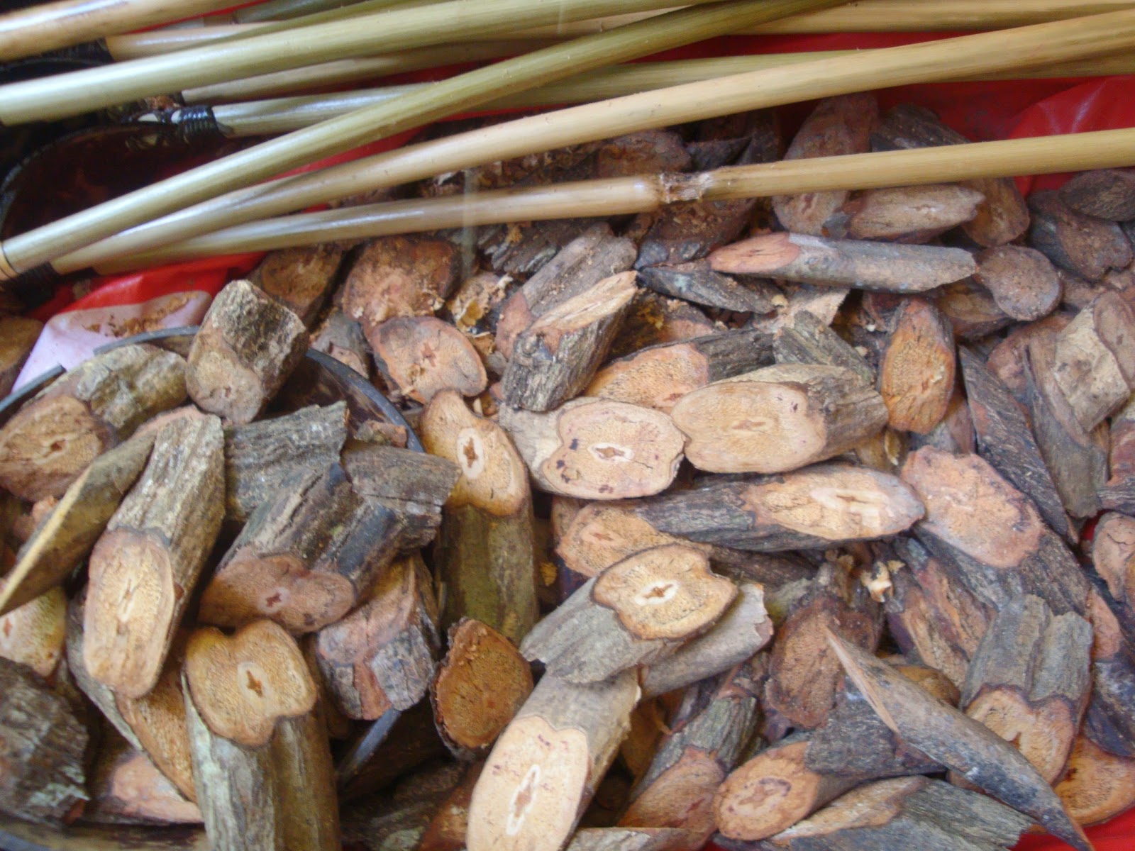 Chingky Quijano ♥: Discover Guimaras!