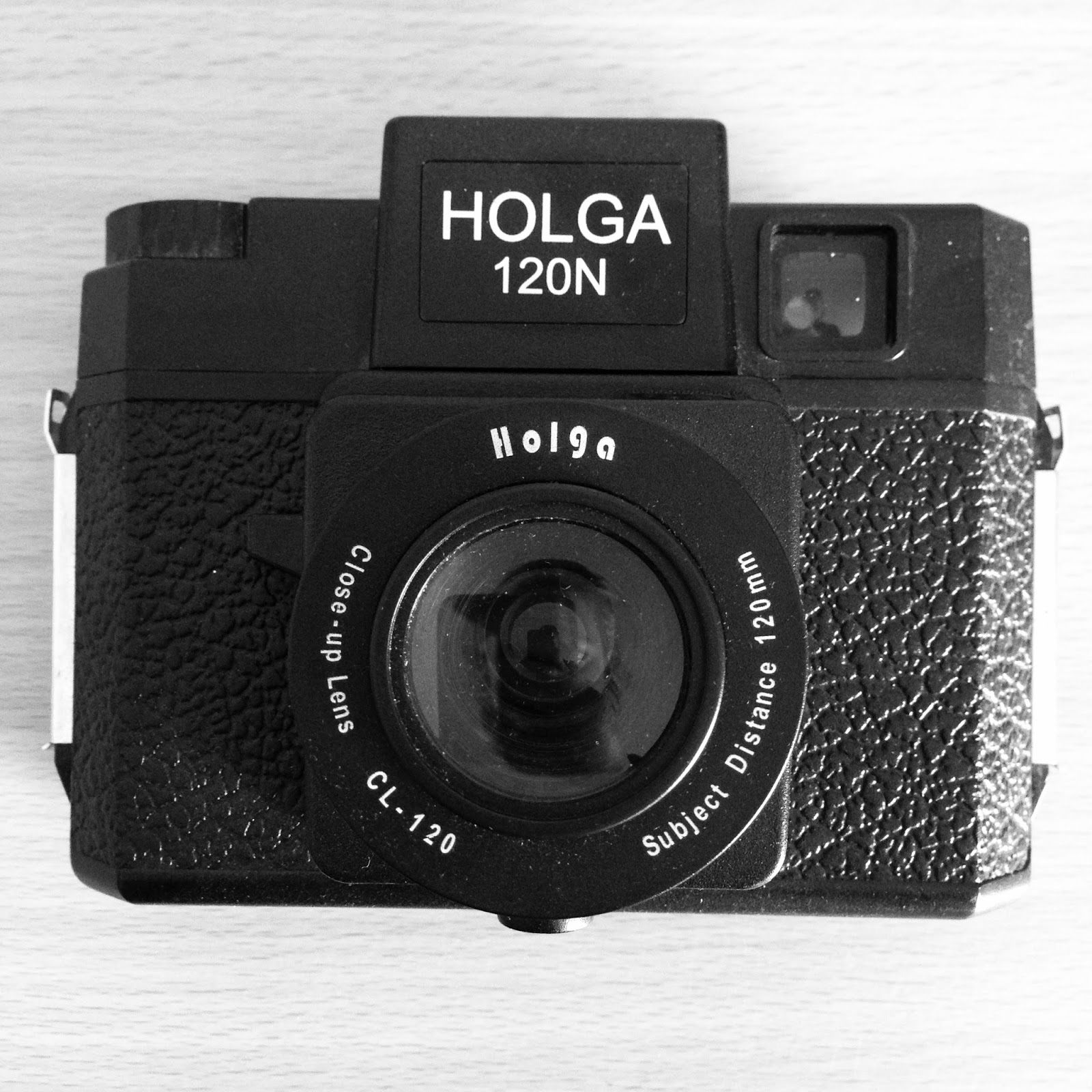 The Holga Darkroom: Holga Tips : Creating Close Up Photos with Your ...